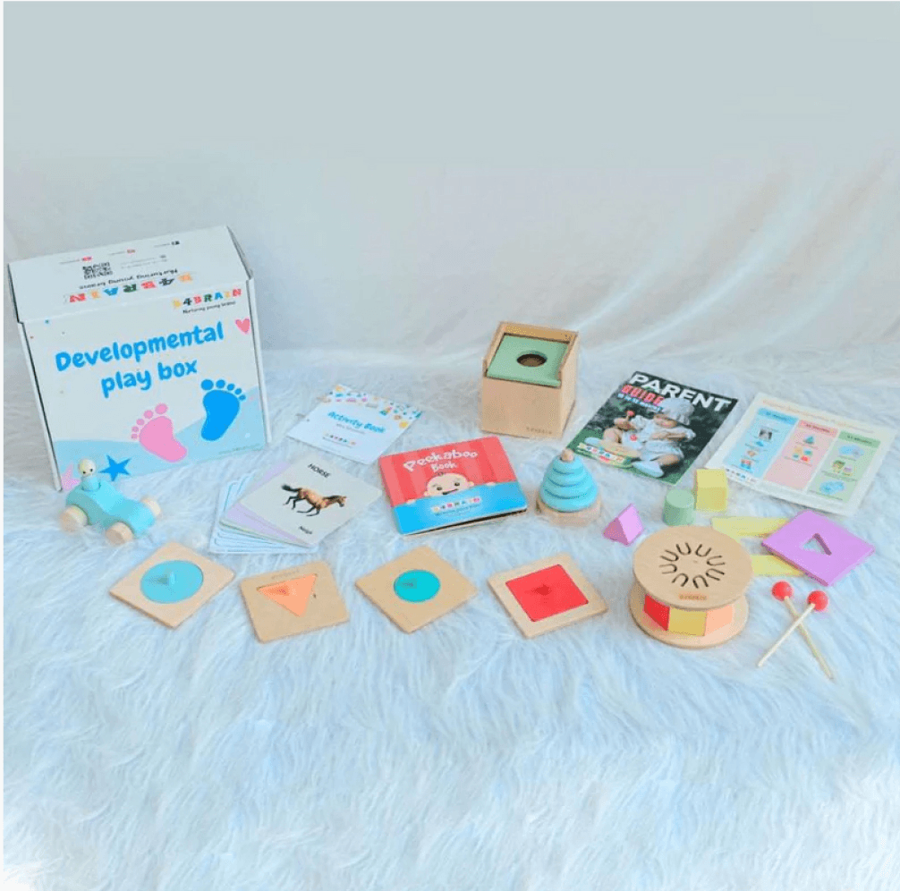 Development playbox (10-12months) | Toys For 6 To 12 Months – B4brain