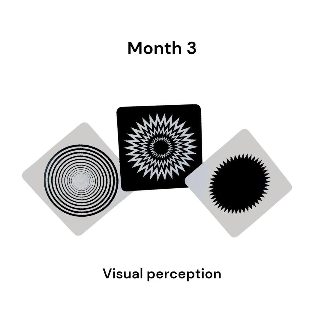 Best Baby Flashcards & Books | Newborn Cards 0-3 Months Babies – B4brain